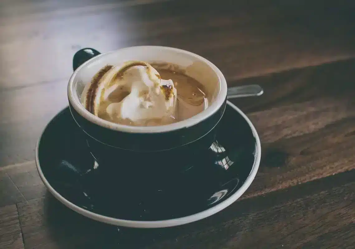 Ganoderma Coffee Terms And Conditions | Order & Policy Info